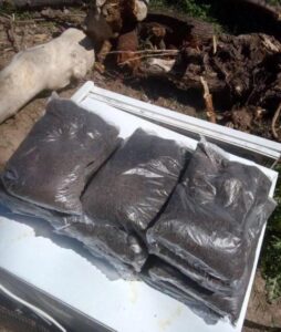 Qué es el Guano y cómo usarlo en los cultivos orgánicos - Eco Jardín Mágico