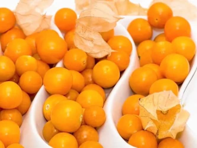 Cómo sembrar y cultivar Uchuva de manera orgánica - Eco Jardín Mágico