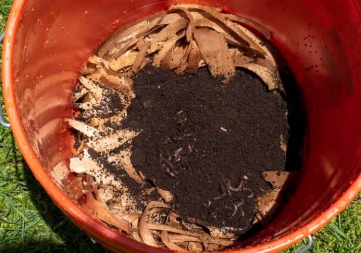 Cómo hacer Compost en un Balde o Cubeta paso a paso - Eco Jardín Mágico