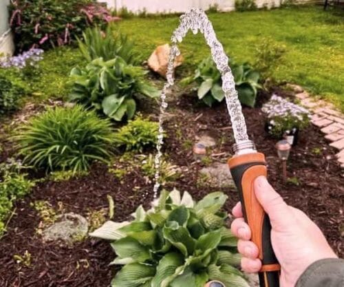 Cómo regar las plantas correctamente durante una ola de calor - Eco ...
