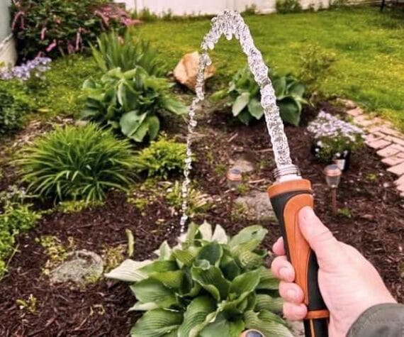 Cómo regar las plantas correctamente durante una ola de calor - Eco ...