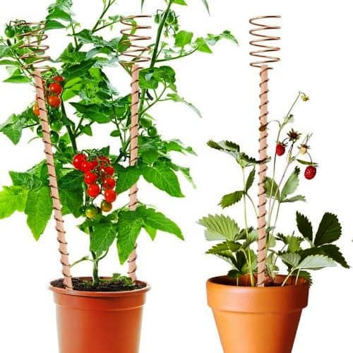 Electrocultura o electrocultivo: que es y cómo funciona - Eco Jardín Mágico